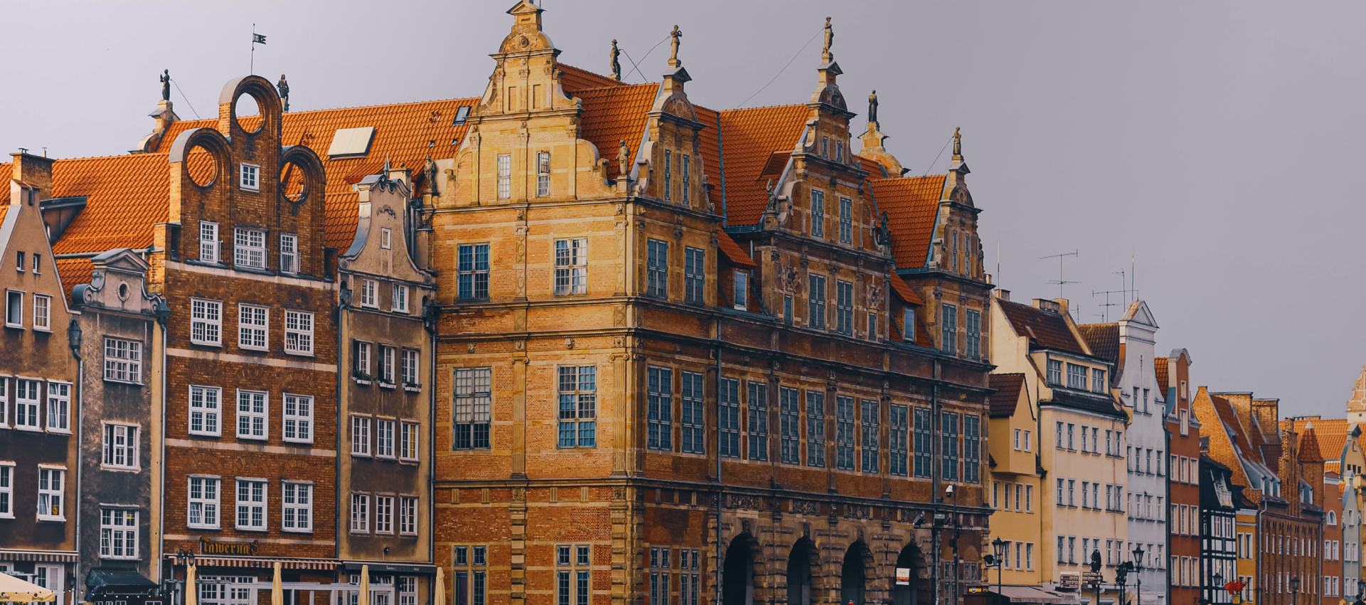 Global Expert Migration