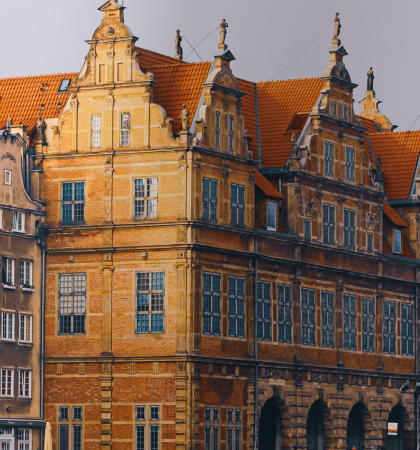 Global Expert Migration